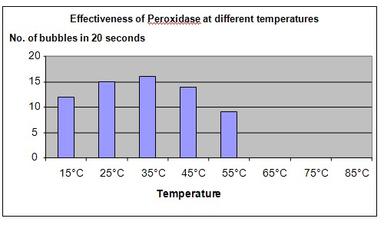 Temperature and Peroxidase Enzyme | Complete Science Fair Projects & STEM Projects