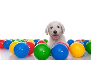 105 Science Fair Projects for High School