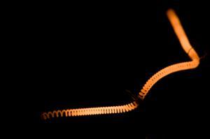 Insulating Boiling Water | Science Fair Projects | STEM Projects