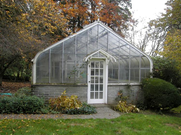 Plant Food Growth Experiment | Science Fair Projects | STEM Projects