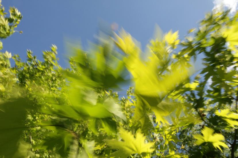 80 Science Fair Projects for 5th Graders