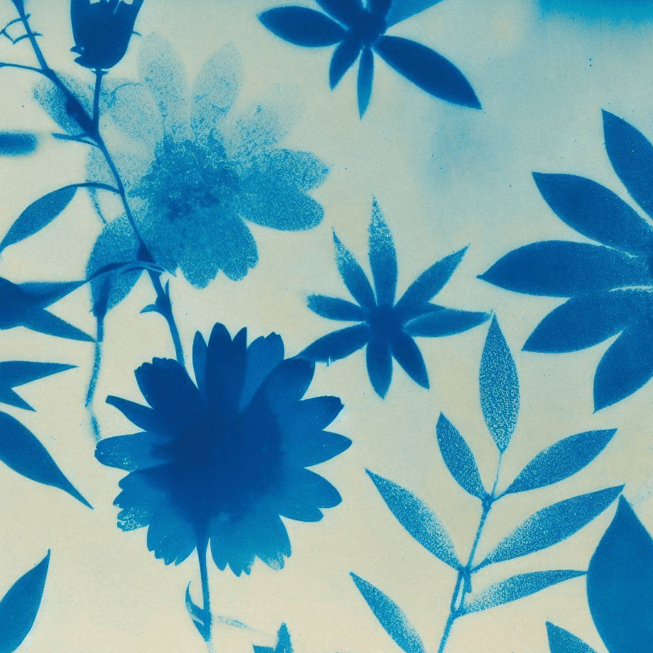 Solar Energy Science Fair Projects