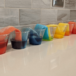 Walking Rainbow Experiment | Complete Science Fair Projects & STEM Projects