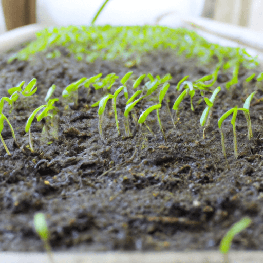 Botany Science Fair Projects