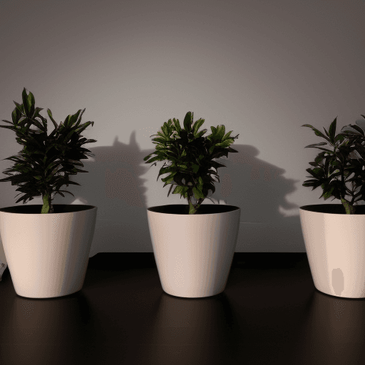 Botany Science Fair Projects