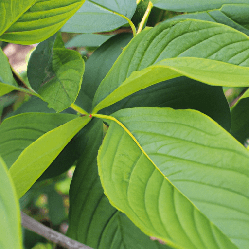 Biochemistry Science Fair Projects