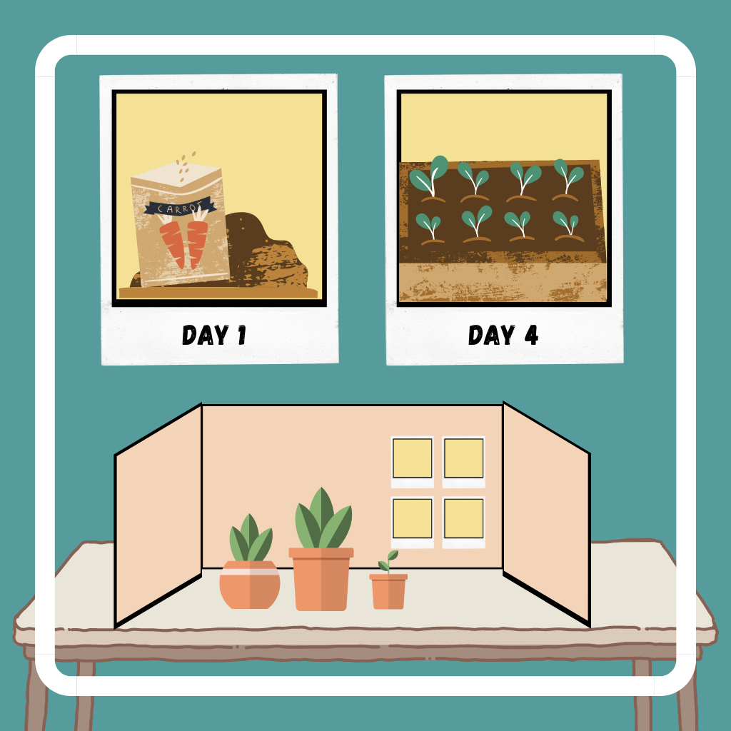 The Science Fair Poster Guide: Materials, Instructions, Transporting ...