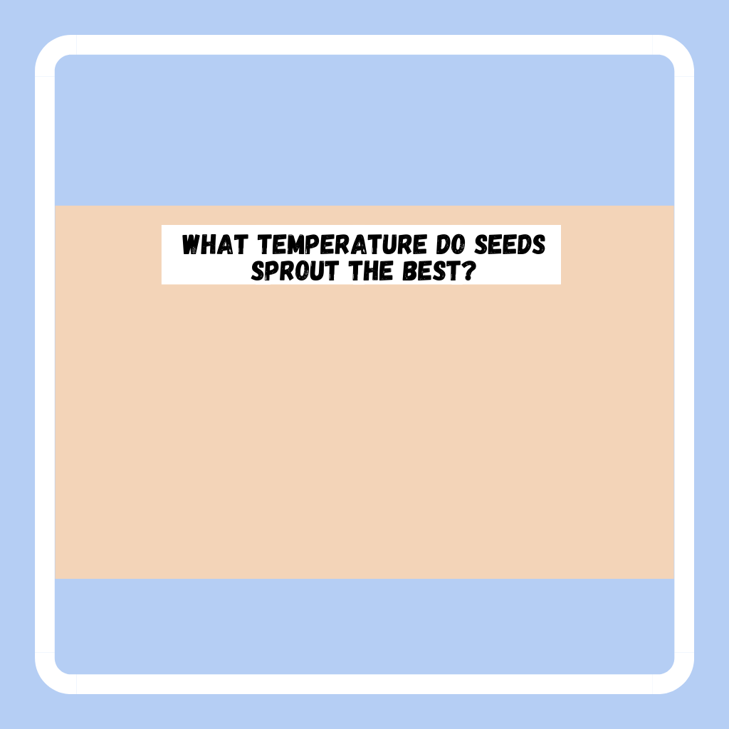 The Science Fair Poster Guide: Materials, Instructions, Transporting ...