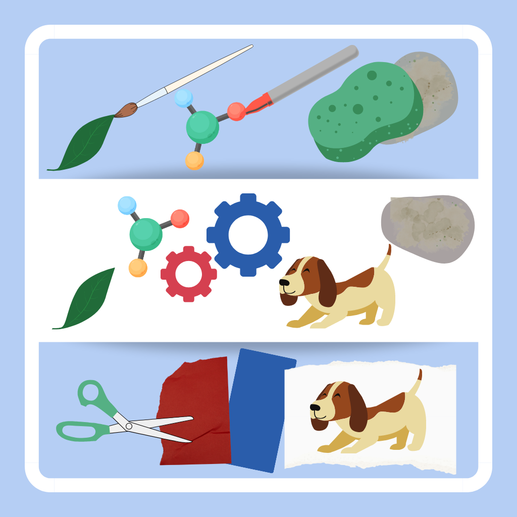 The Science Fair Poster Guide: Materials, Instructions, Transporting ...