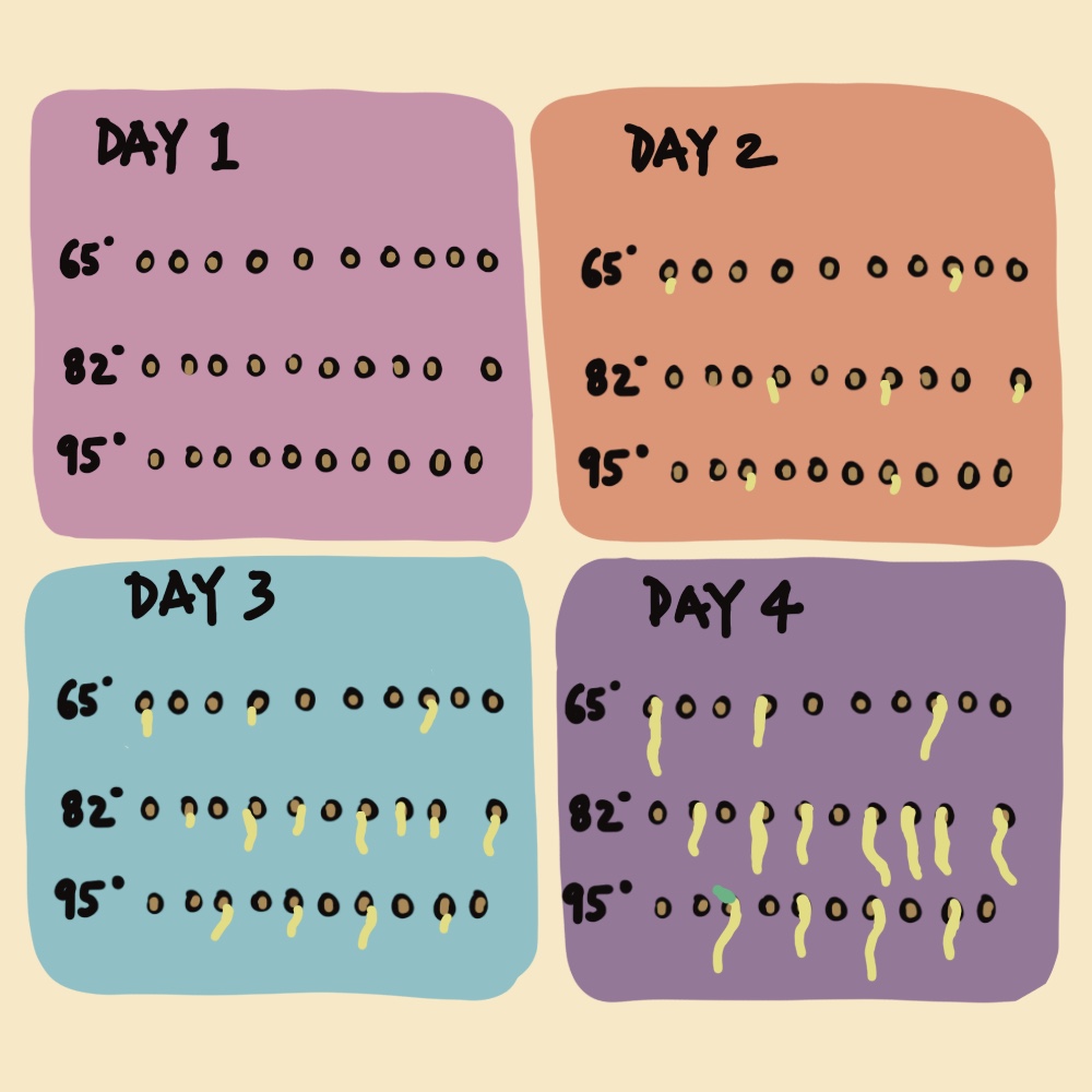 The Scientific Method Guide: 7 Steps of the Scientific Method, An ...